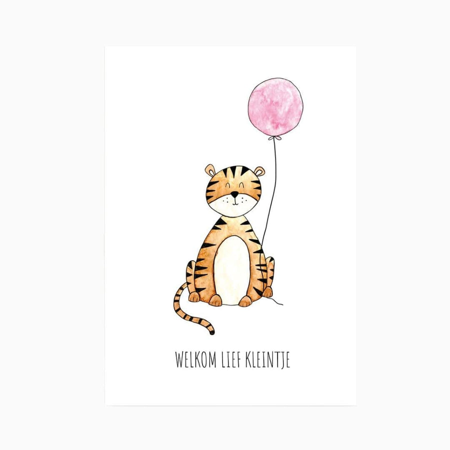 Bestel jouw Connetix-knikkerbaan voor oneindig speelplezier – Studio ...